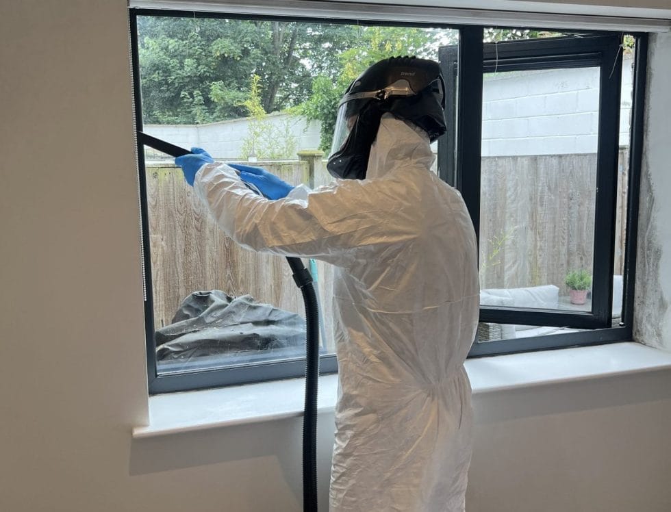 Trusted Mould Removal & Remediation Specialists in Windsor - Mould ...